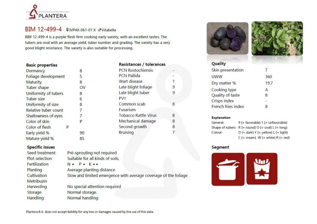 VITANOIRE Seed Potatoes - Patch