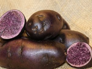 Seed Potatoes - All Varieties - Patch