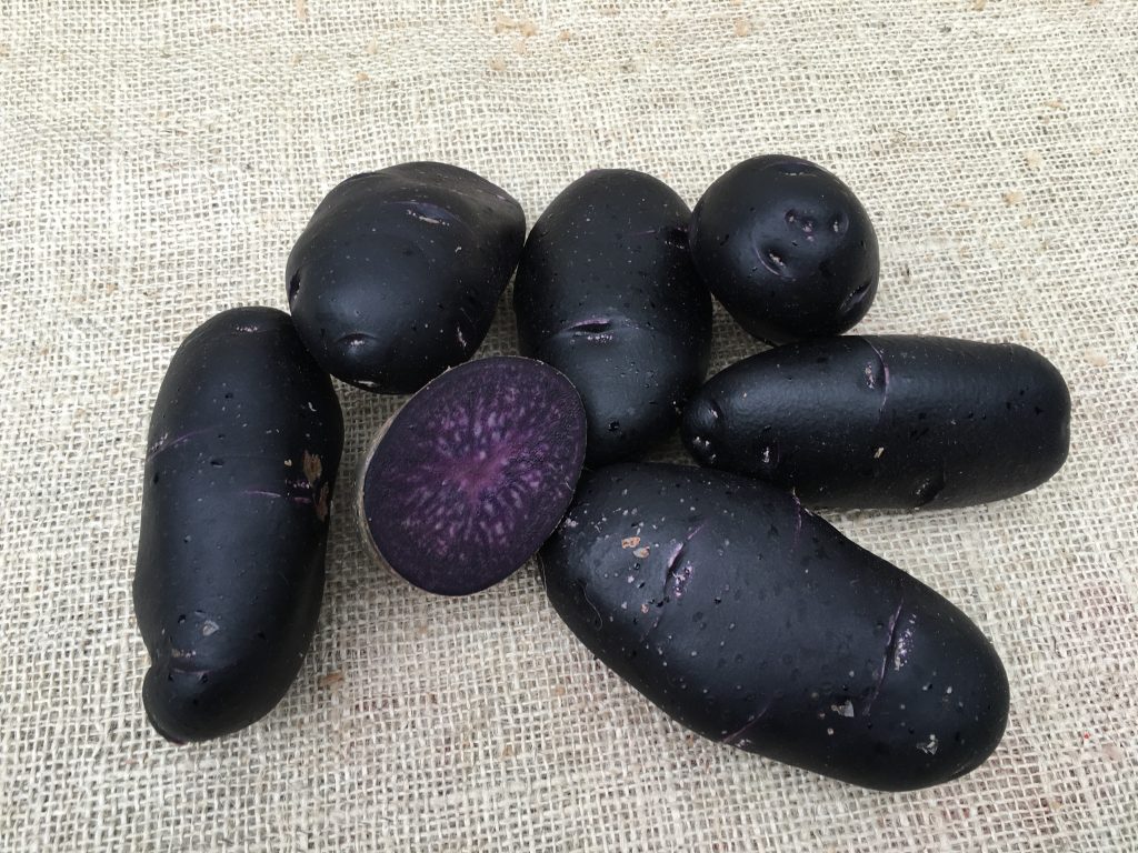 PURPLE RAIN Seed Potatoes - Patch