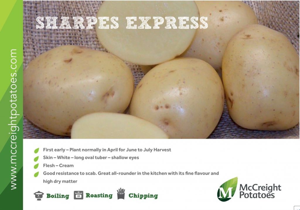 Sharpe’s Express Seed Potatoes - Patch