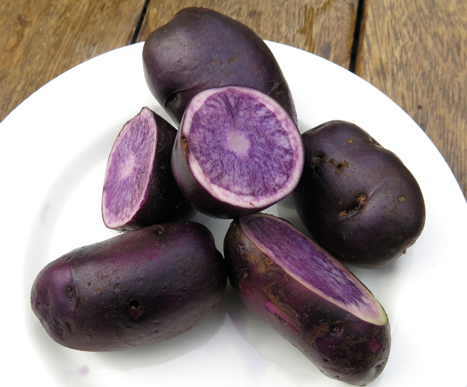 SALAD BLUE Seed Potatoes - Patch