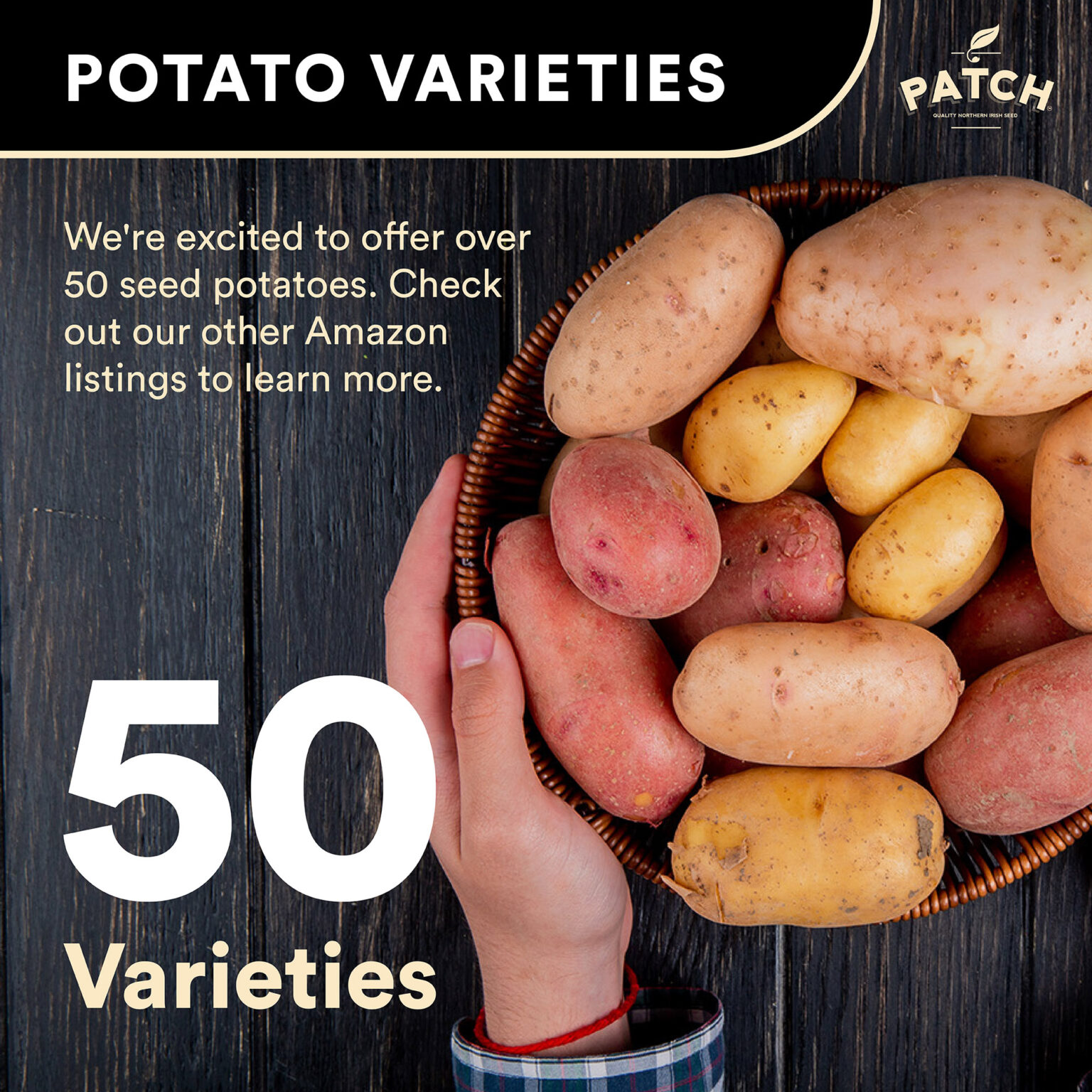10Kg Certified Seed Potatoes - Choose from OVER 25 varieties! - Patch