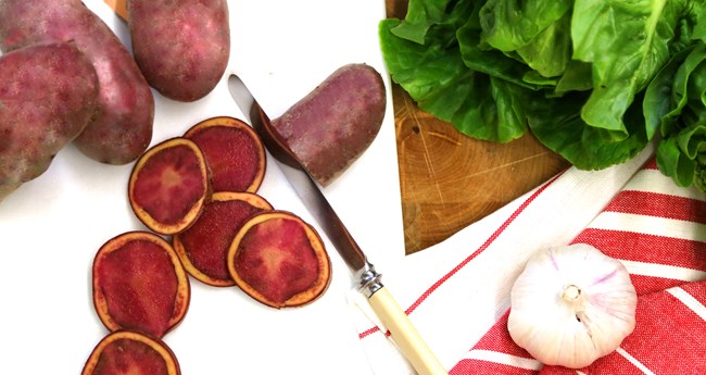 Garden & Patio HIGHLAND BURGUNDY RED Seed Potatoes MAINCROP Certified ...