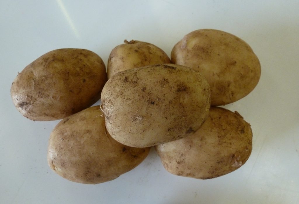 MARIS PEER Seed Potatoes - Patch
